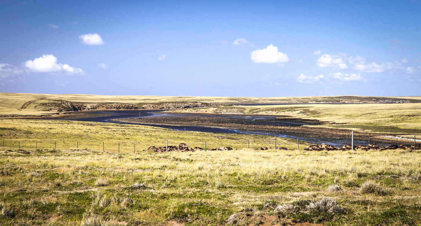 Fly Fishing on the Falkland Islands